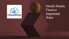 Oracle Fusion Finance Important Roles | Roles in Fusion Applications | CloudShine